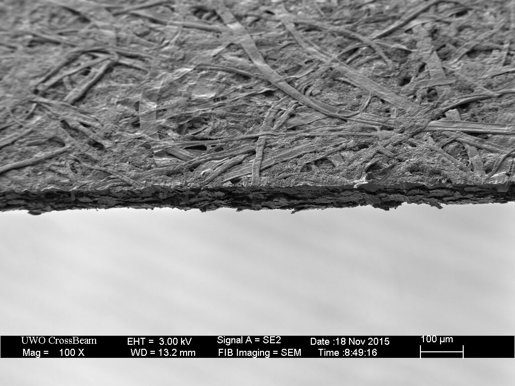 How Sharp Is Paper vs Knives? Sharpness and Cutting Mechanics